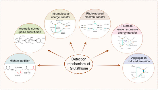Research Progress of Fluorescent Probes for Detection of Glutathione ...