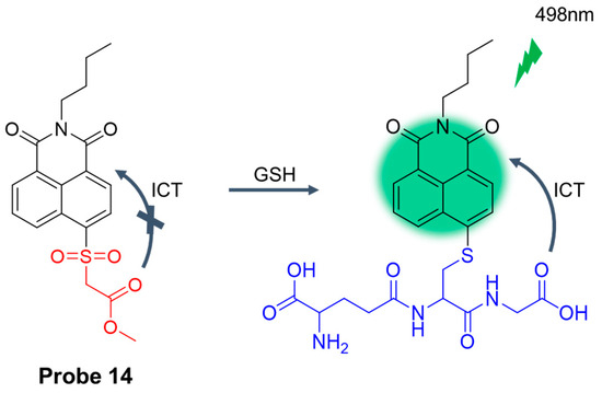Research Progress of Fluorescent Probes for Detection of Glutathione ...