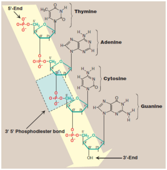 Metal-Based Drug–DNA Interactions and Analytical Determination Methods