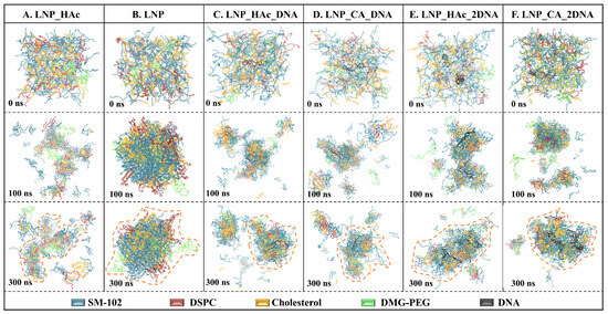 Molecular Dynamics Simulation of Lipid Nanoparticles Encapsulating mRNA