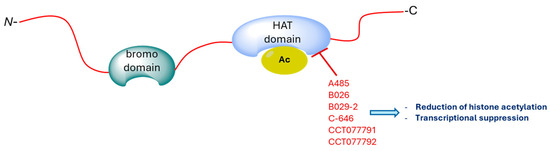 Targeting CBP and p300: Emerging Anticancer Agents