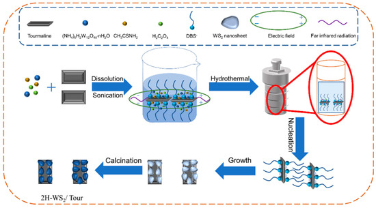 Surfactant-Assisted Regulation of WS2/Tourmaline Microstructures for ...