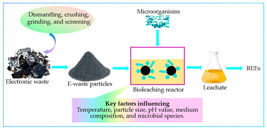 A Review of the Occurrence and Recovery of Rare Earth Elements from ...