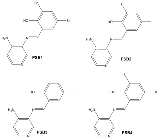 Synthesis, Physicochemical Characterization, and Antimicrobial ...