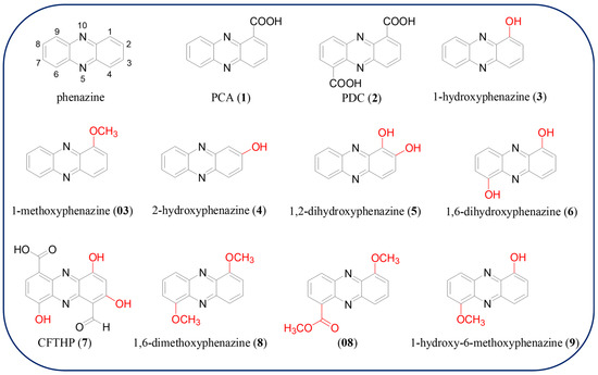 Recent Advances in Phenazine Natural Products: Chemical Structures and ...