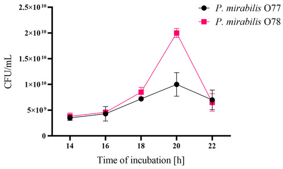 Outer Membrane Vesicles Formed by Clinical Proteus mirabilis Strains ...