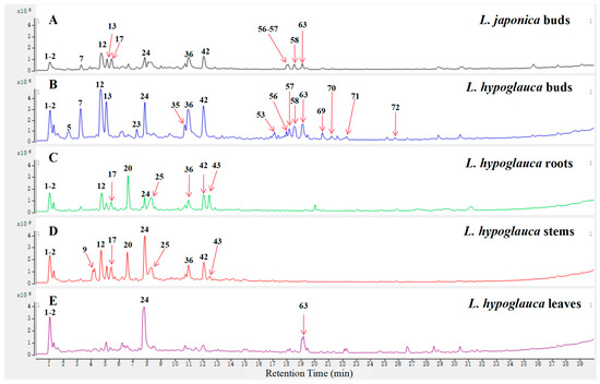 Identification of the Hypoglycemic Active Components of Lonicera ...