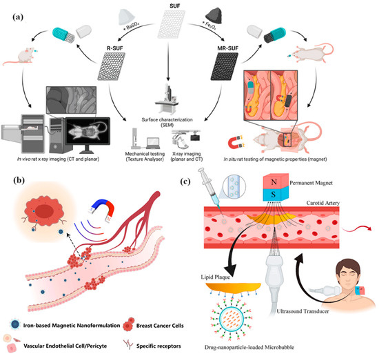 Enhancing Drug Solubility, Bioavailability, and Targeted Therapeutic ...