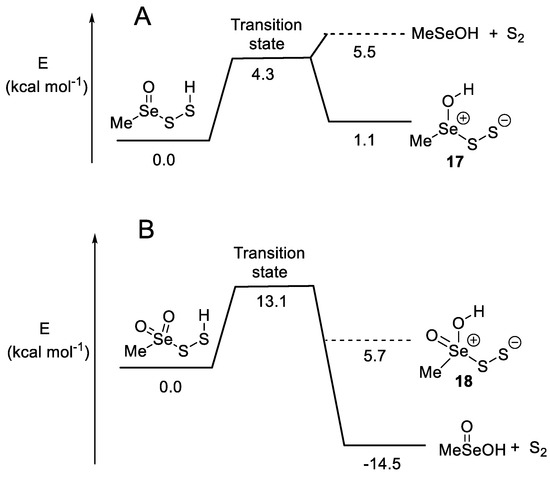 A Computational Study of Heteroatom Analogues of Selenoxide and ...
