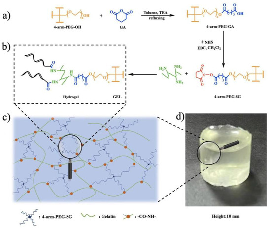 Crosslinked Biodegradable Hybrid Hydrogels Based on Poly(ethylene ...