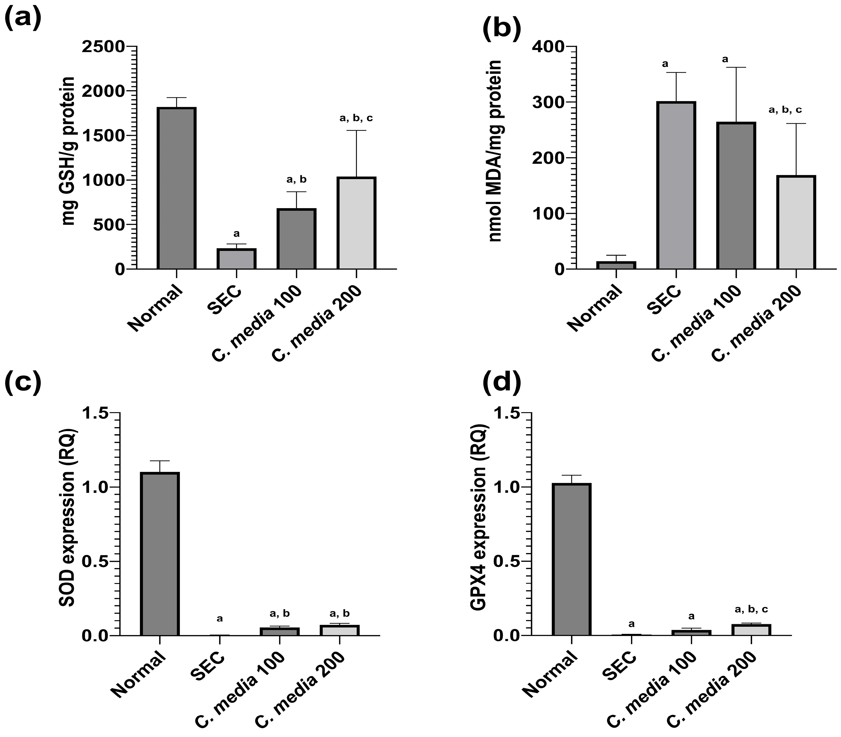 Anticancer Effect of Cycas media: Molecular Basis Through Modulation of ...