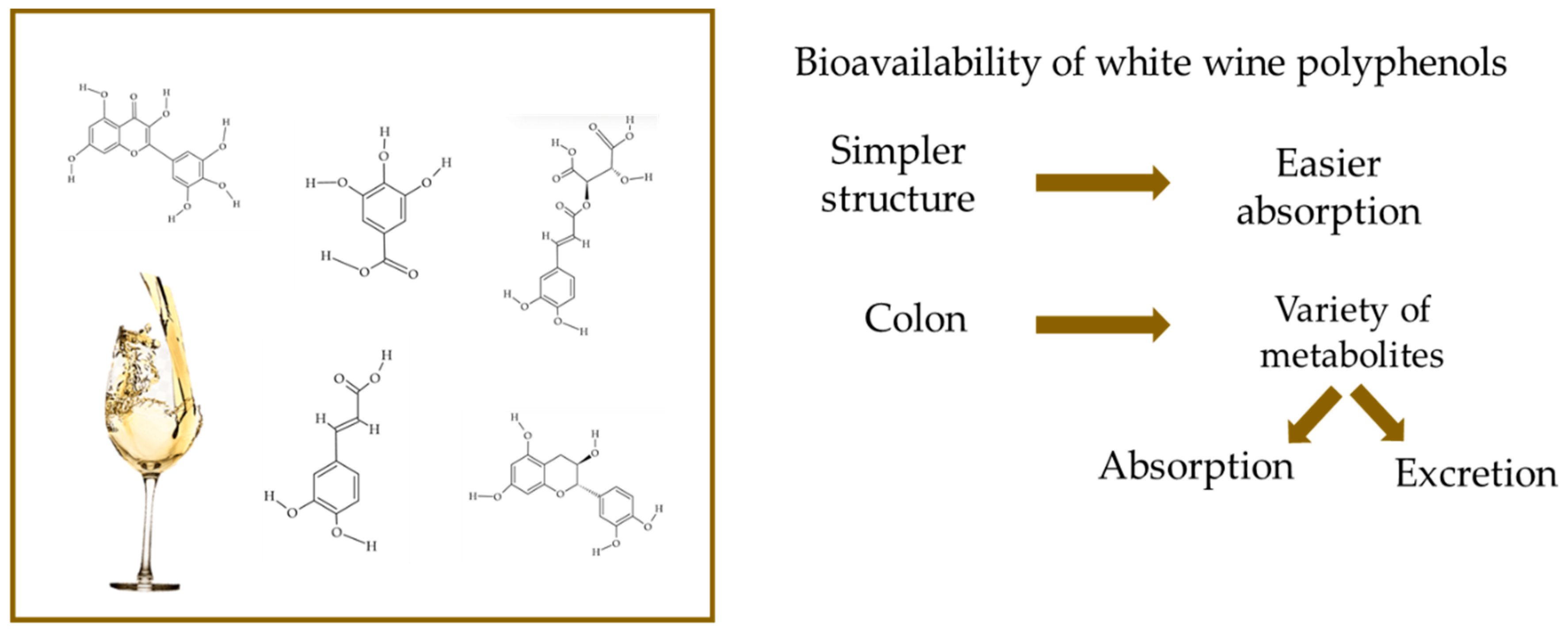 A Comprehensive Review on Polyphenols of White Wine: Impact on Wine ...
