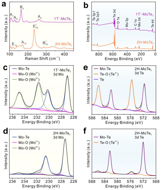 Phase Transformation on Two-Dimensional MoTe2 Films for Surface-Enhanced Raman Spectroscopy