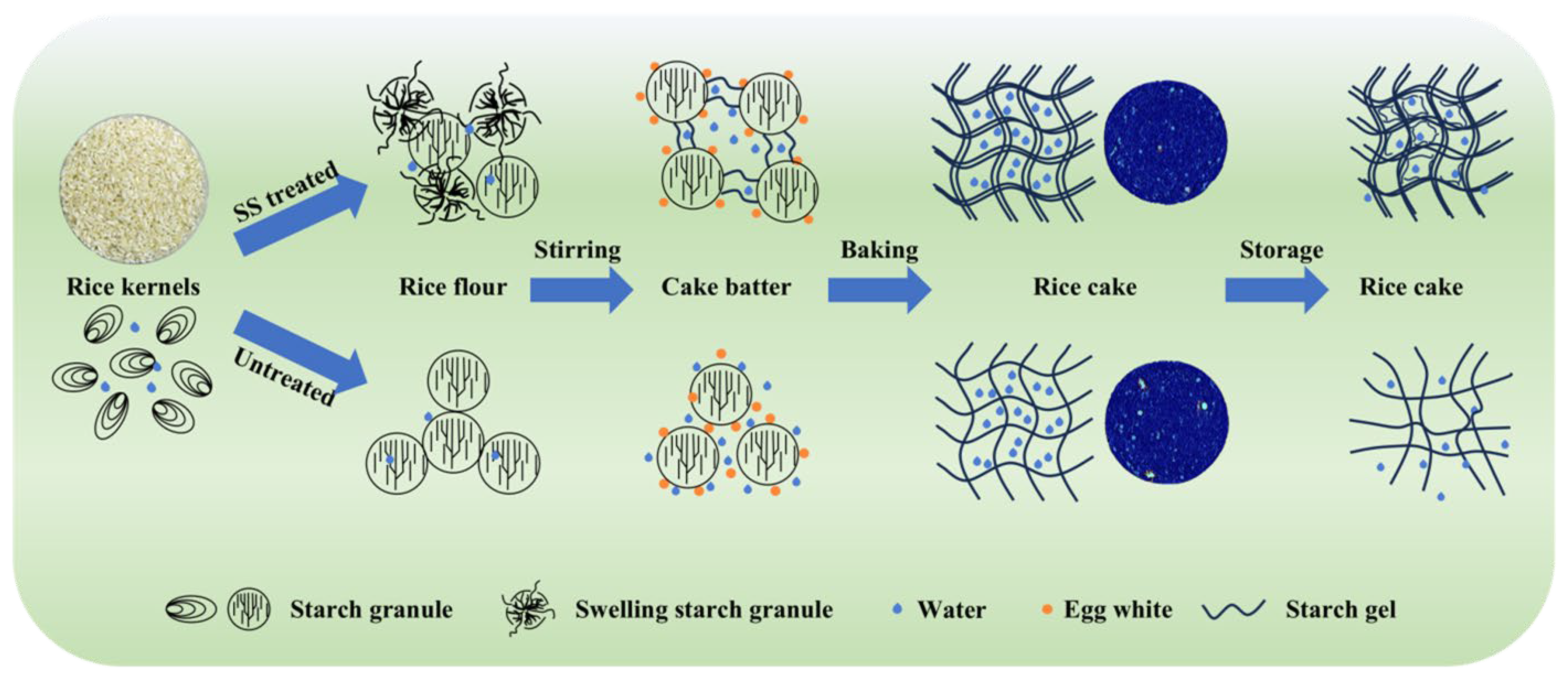 Delayed Effect of Superheated Steam Treatment on Starch Retrogradation ...