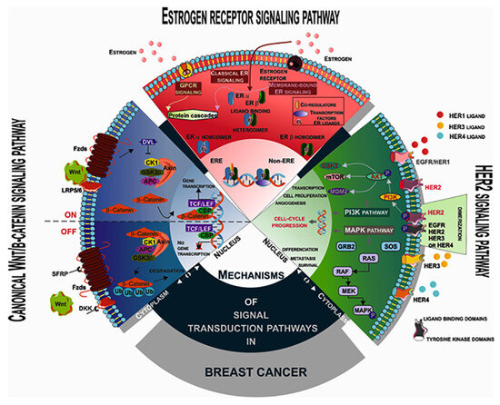 Cytotoxic Effects of Plant Secondary Metabolites and Naturally ...