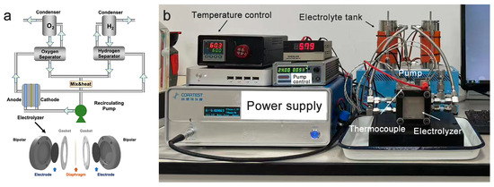 In Situ Anodic Transition and Cathodic Contamination Affect the Overall ...