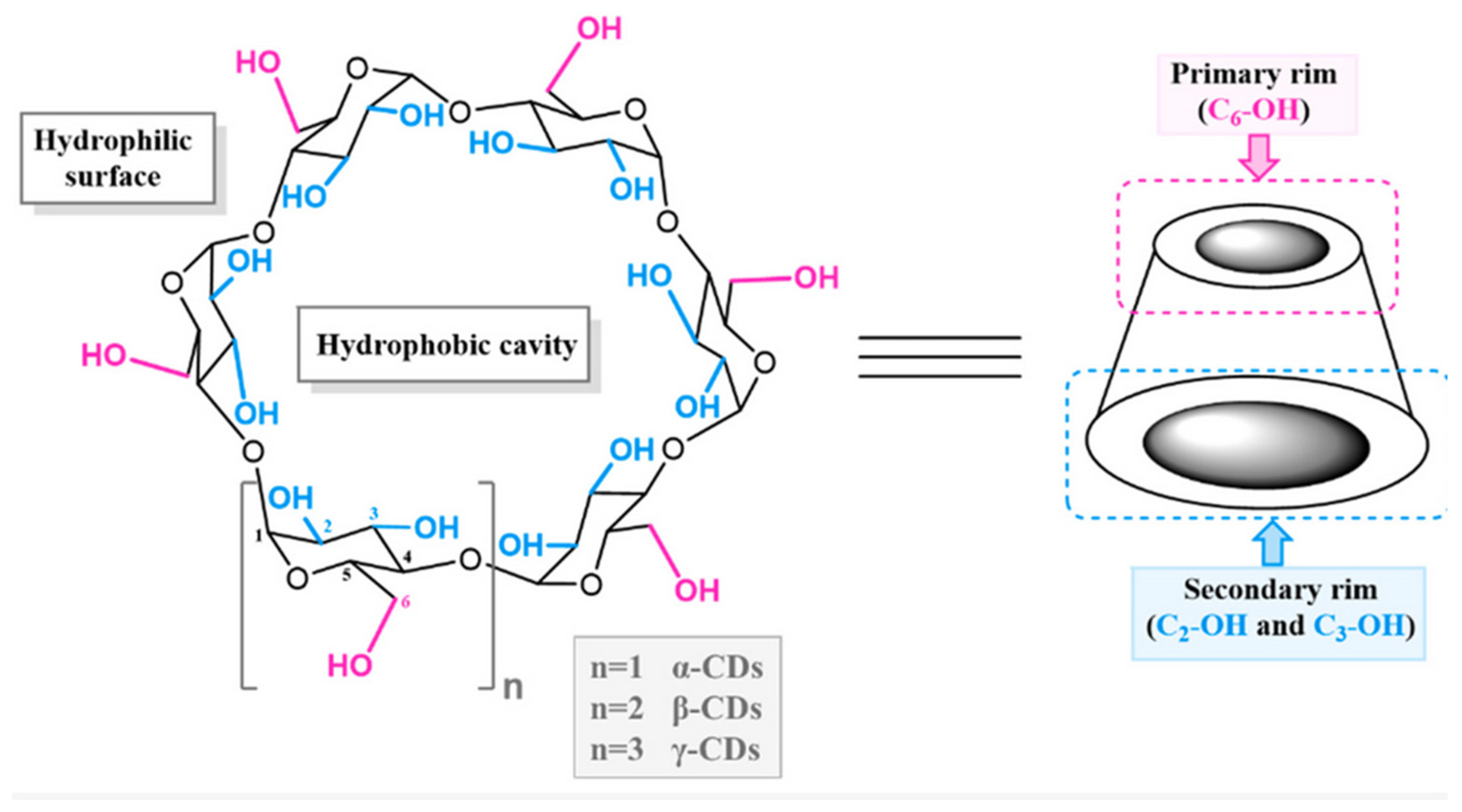 Cyclodextrins: Advances in Chemistry, Toxicology, and Multifaceted Applications