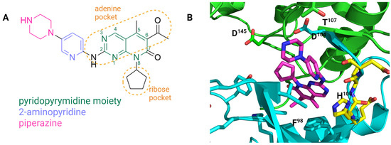 Palbociclib as an Antitumor Drug: A License to Kill