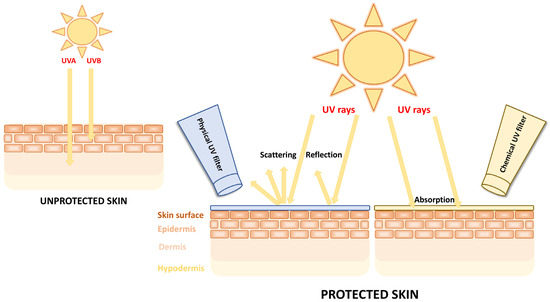 The Potential of Natural Compounds in UV Protection Products