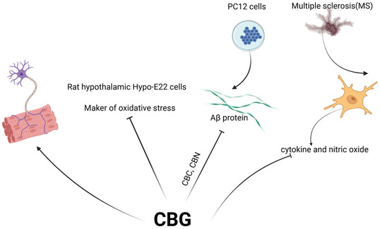 Cannabigerol (CBG): A Comprehensive Review of Its Molecular Mechanisms ...