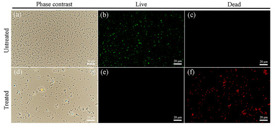 Preparation and Antibacterial Performance Study of CeO2/g-C3N4 ...