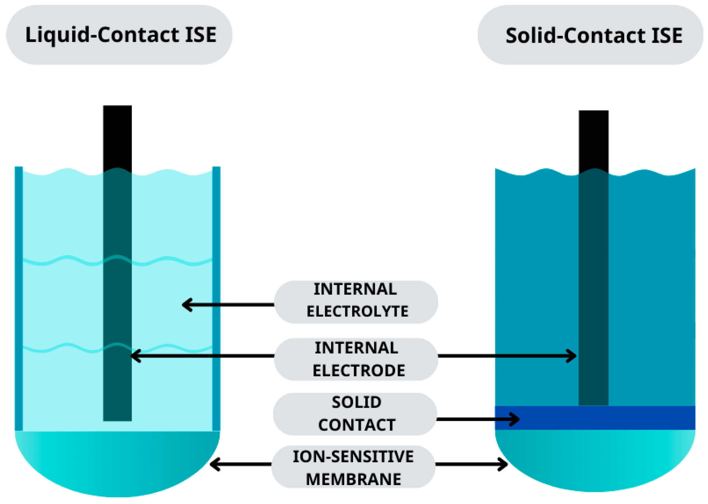 Comparative Study of Potassium Ion-Selective Electrodes with Solid Contact: Impact of ...