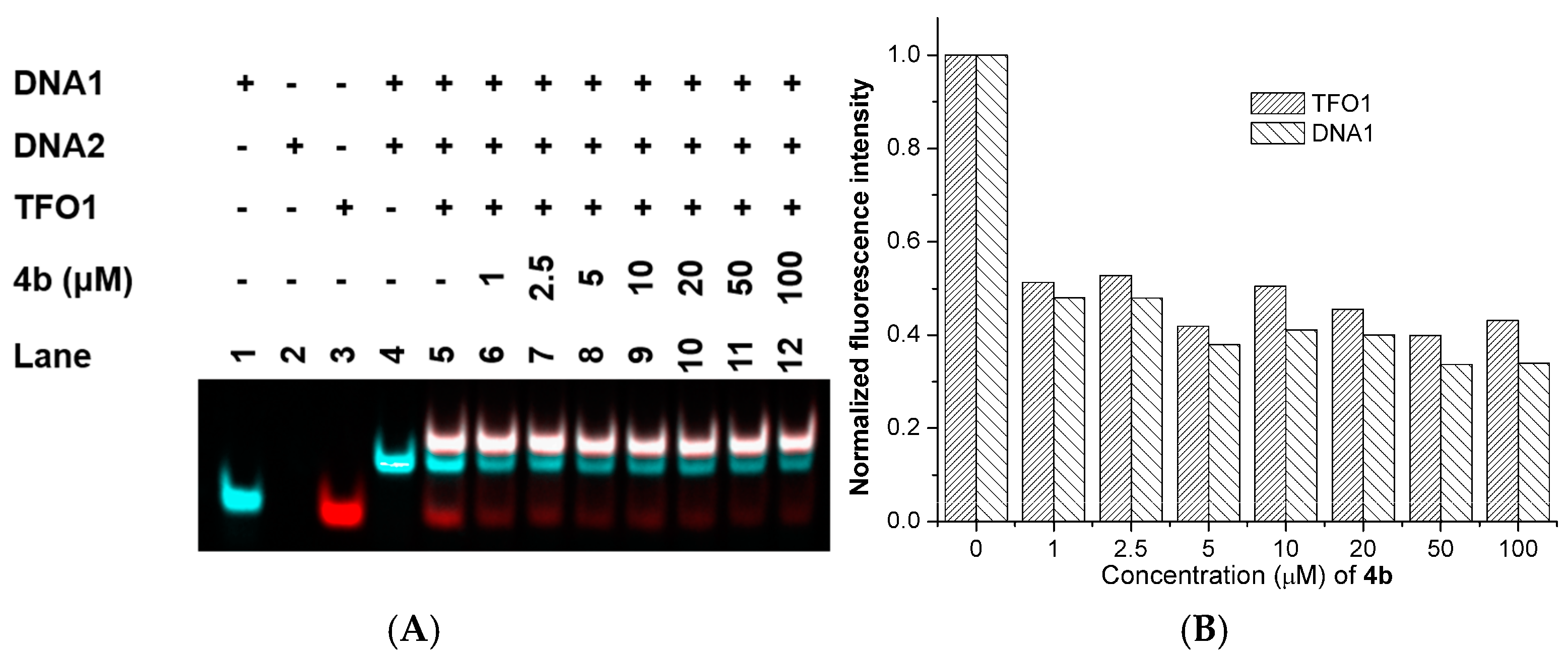 5-Substituted Flavones—Another Class of Potent Triplex DNA-Specific ...