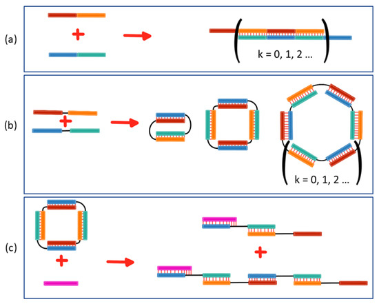Hybrid RNA/DNA Concatemers and Self-Limited Complexes: Structure and ...