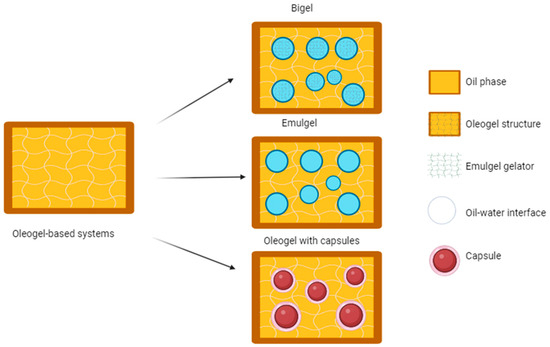 Hybrid Systems of Oleogels and Probiotic-Loaded Alginate Carriers for ...