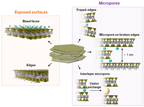 Advanced Analysis of Clay Microporosity Using High-Resolution N2-Ar ...