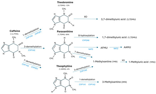 Caffeine as an Active Molecule in Cosmetic Products for Hair Loss: Its ...
