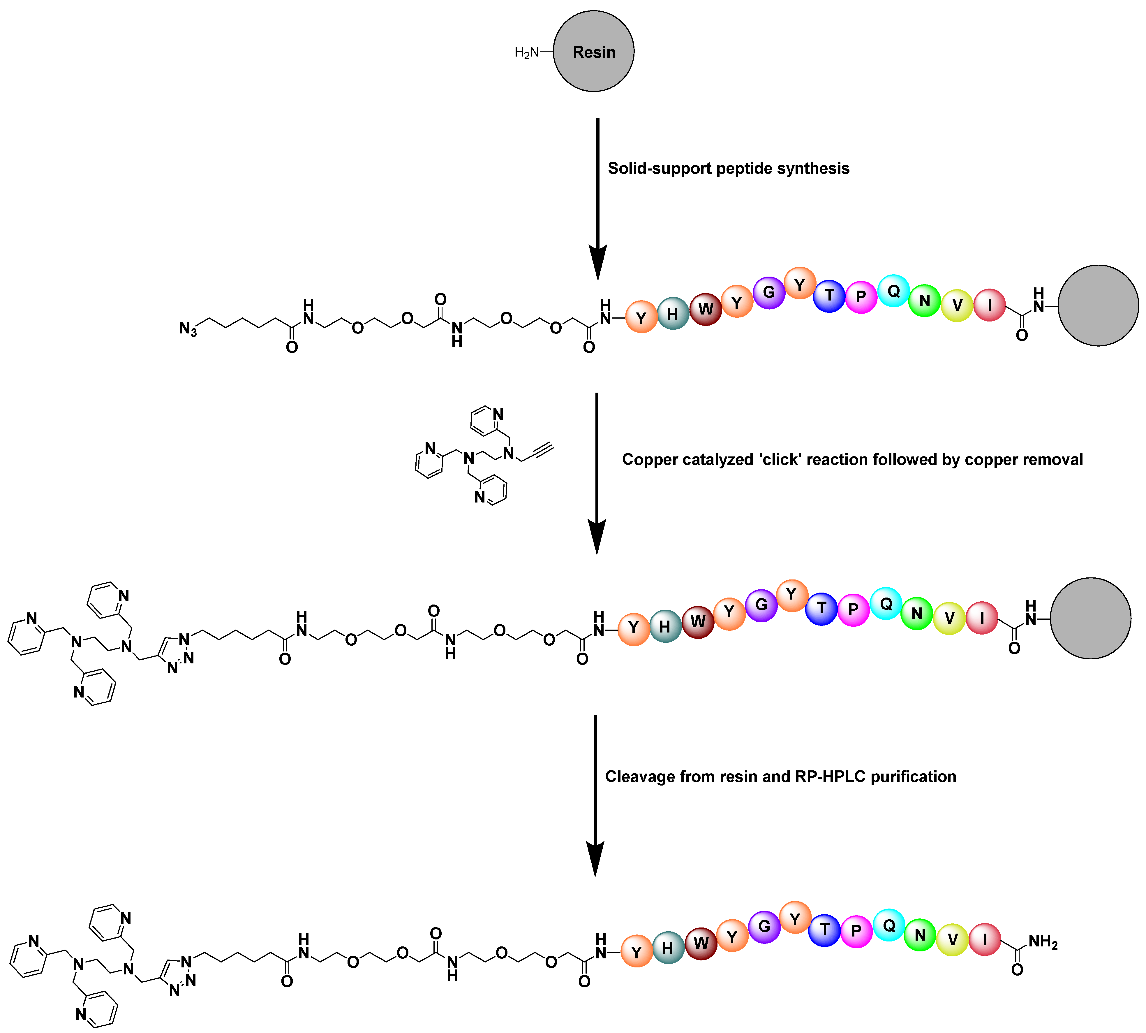 Radiocobalt-Labeling of a Polypyridylamine Chelate Conjugated to GE11 for EGFR-Targeted Theranostics