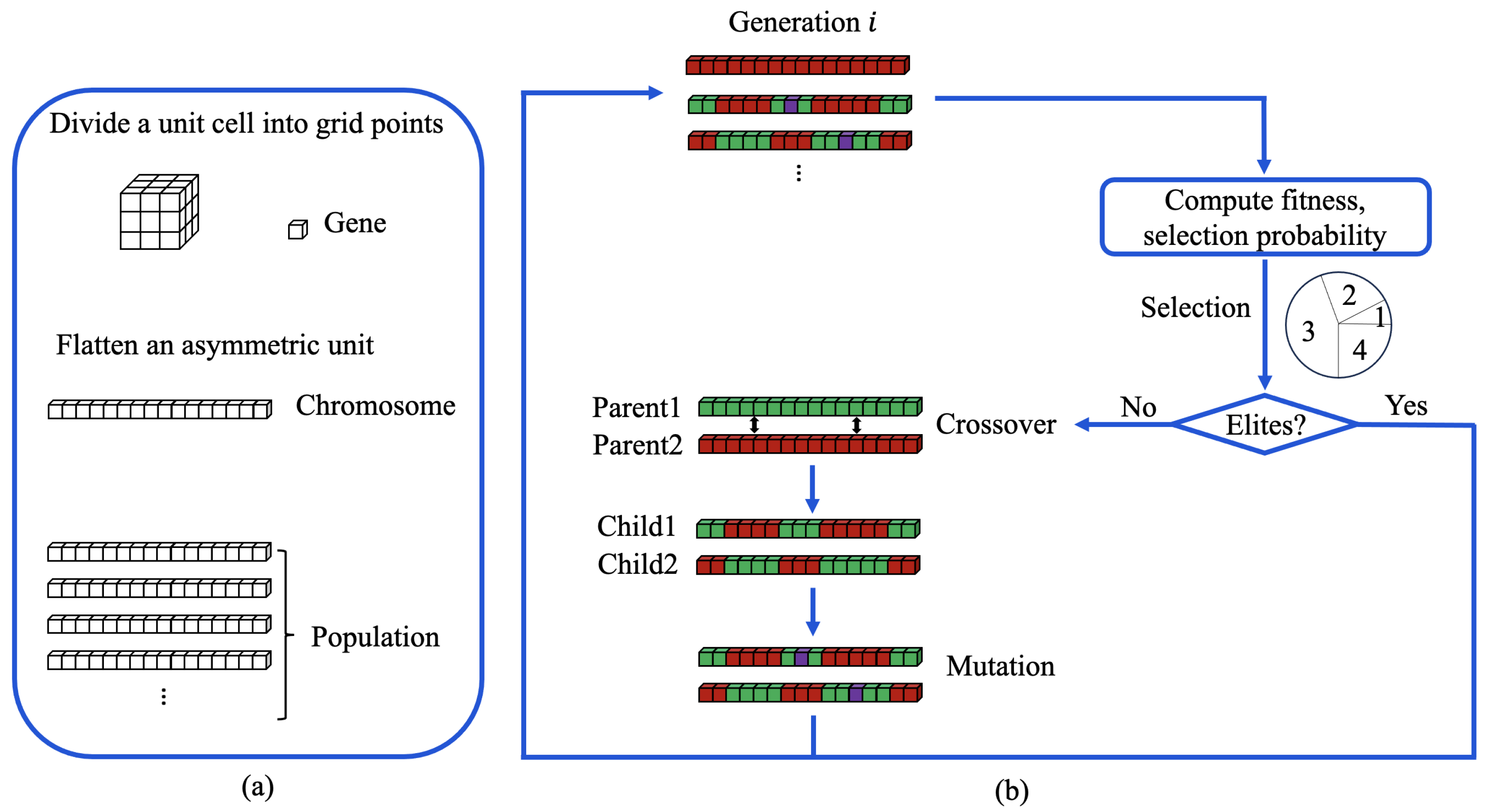 Genetic Algorithm-Enhanced Direct Method in Protein Crystallography