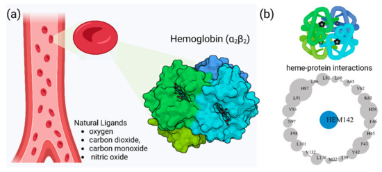 Hemoglobin Variants as Targets for Stabilizing Drugs