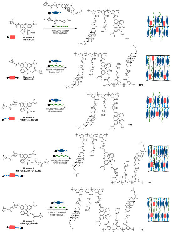 Hierarchically Structured Stimuli-Responsive Liquid Crystalline ...