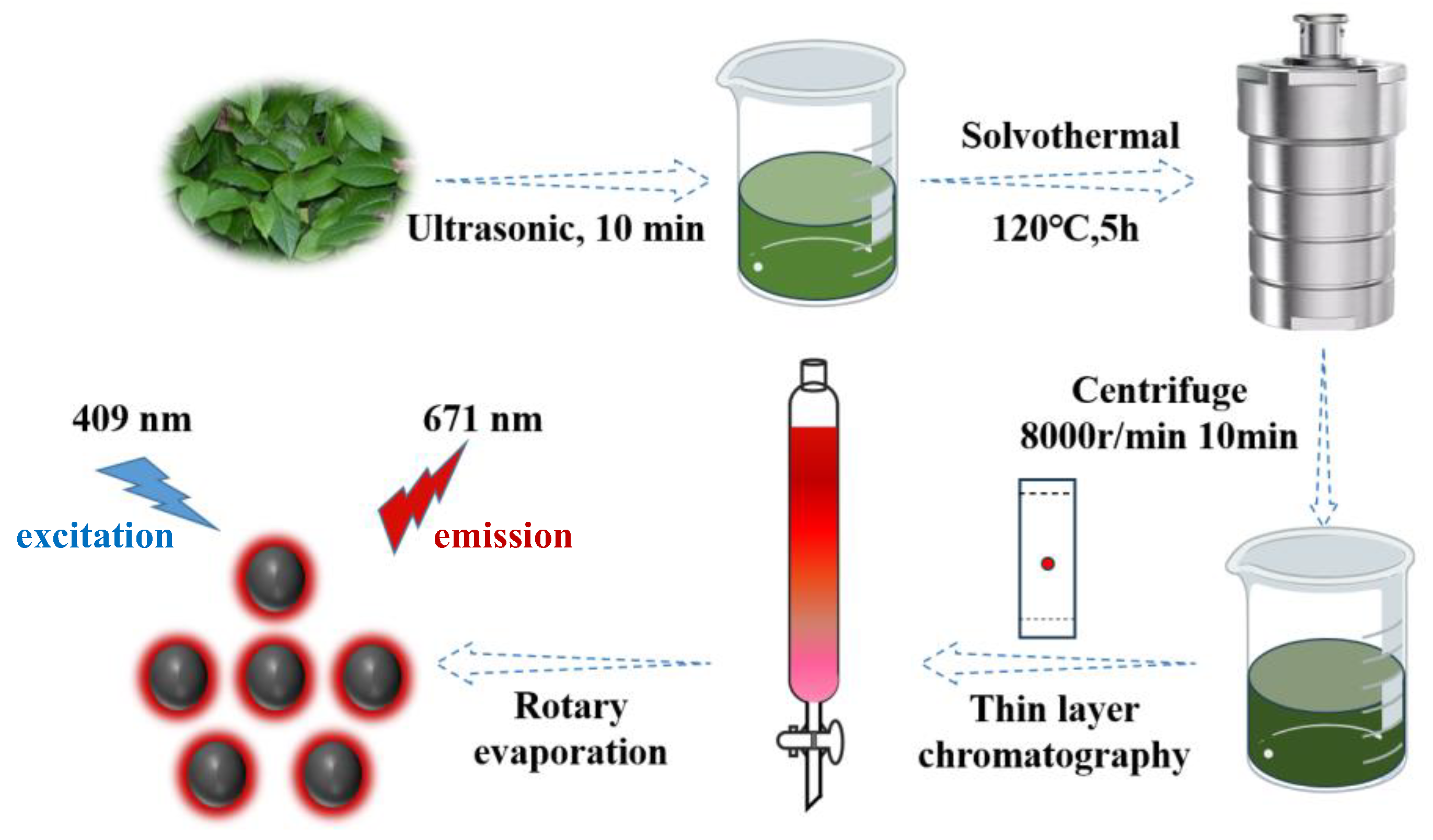 Epigynum auritum-Derived Near-Infrared Carbon Dots for Bioimaging and ...