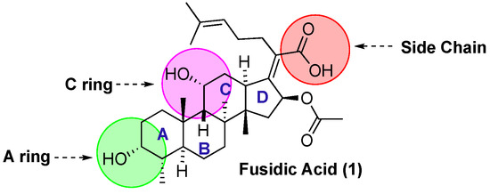 Exploration of the Fusidic Acid Structure Activity Space for Antibiotic ...