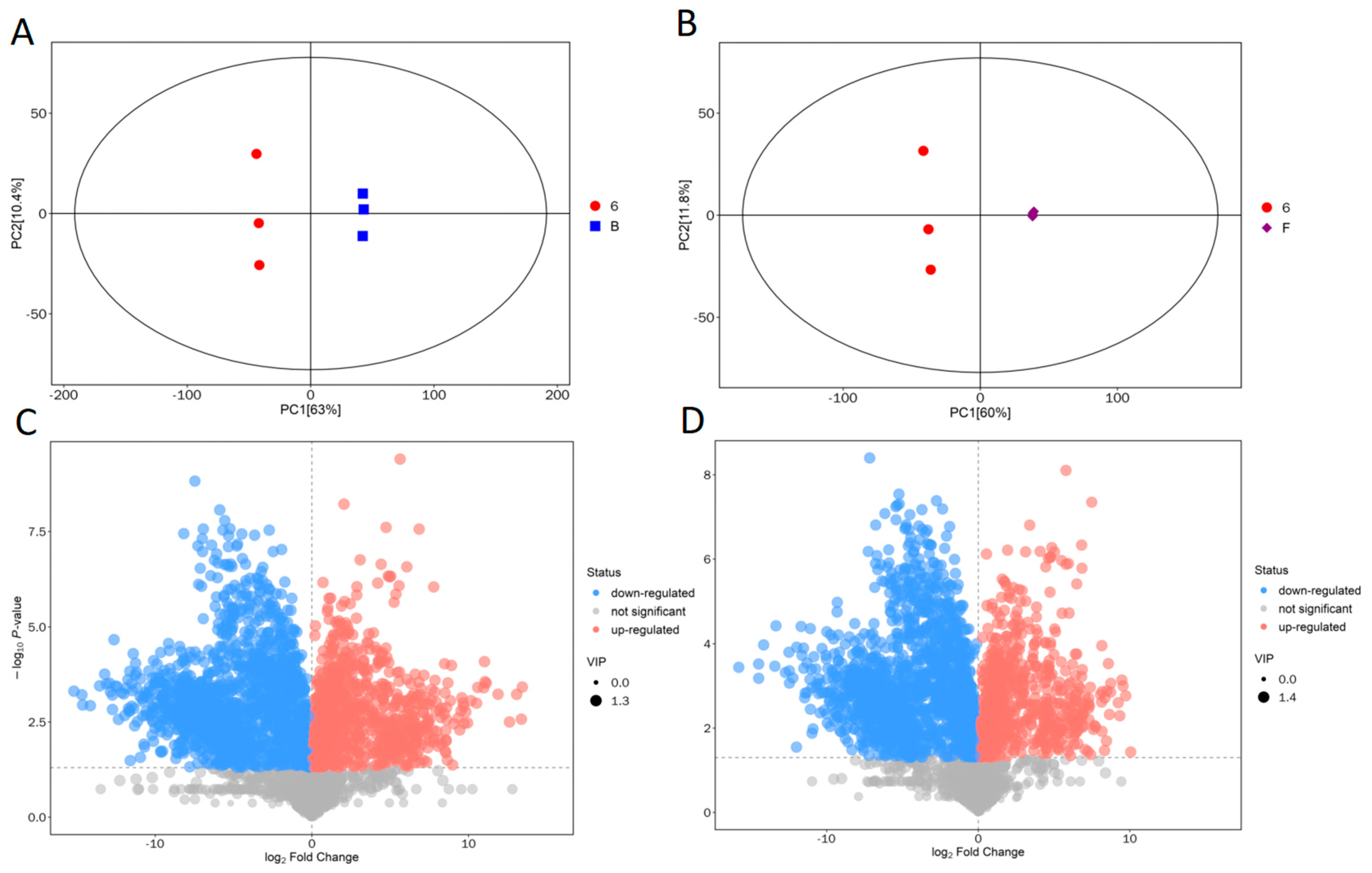 The Fungi–Bacteria Interaction Mechanism of Microbial Consortium During ...