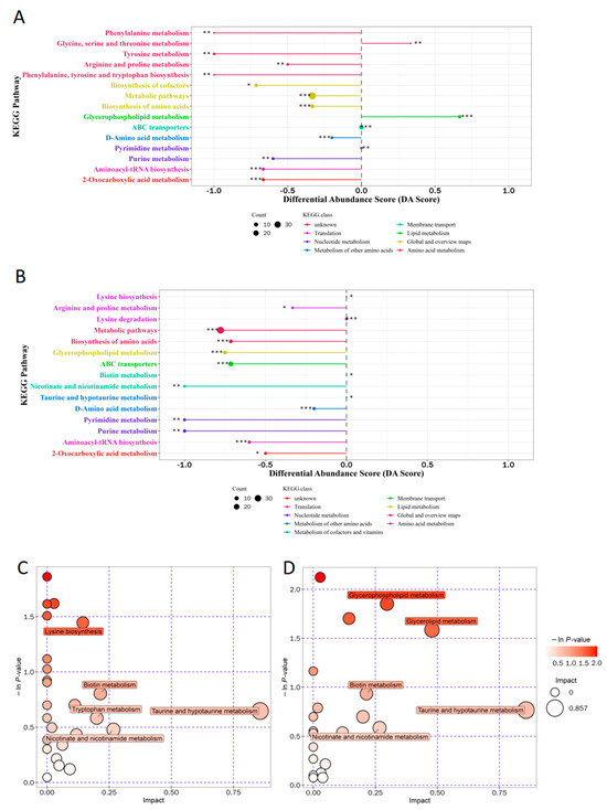 The Fungi–Bacteria Interaction Mechanism of Microbial Consortium During ...