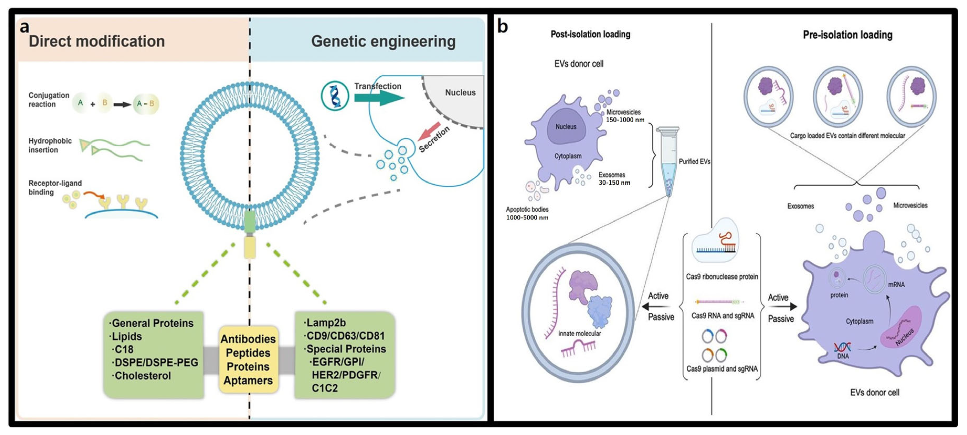 CRISPR-Cas9 Gene Therapy: Non-Viral Delivery and Stimuli-Responsive Nanoformulations