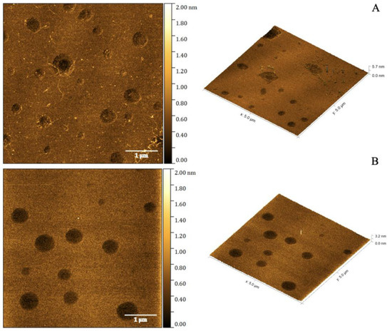 Ex Vivo Biosafety and Efficacy Assessment of Advanced Chlorin e6 ...
