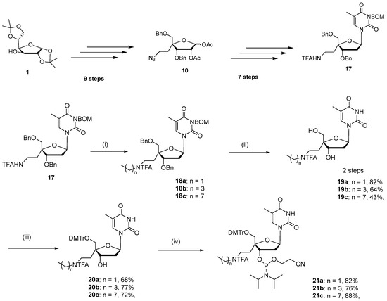 Synthesis and Application of 4′-C-[(N-alkyl)aminoethyl]thymidine ...