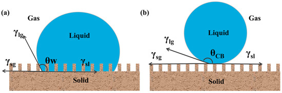 Research Progress in the Construction Strategy and Application of ...