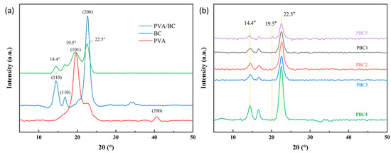 Bacterial Cellulose-Based Superabsorbent Hydrogel for Wet Wound Dressing