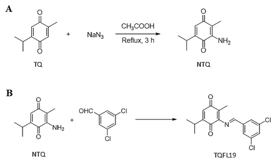 TQFL19, a Novel Derivative of Thymoquinone (TQ), Plays an Essential ...