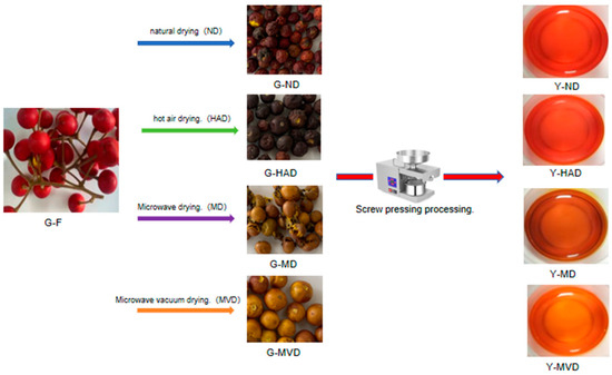 Effects of Different Drying Methods on Volatile Flavor Compounds in ...