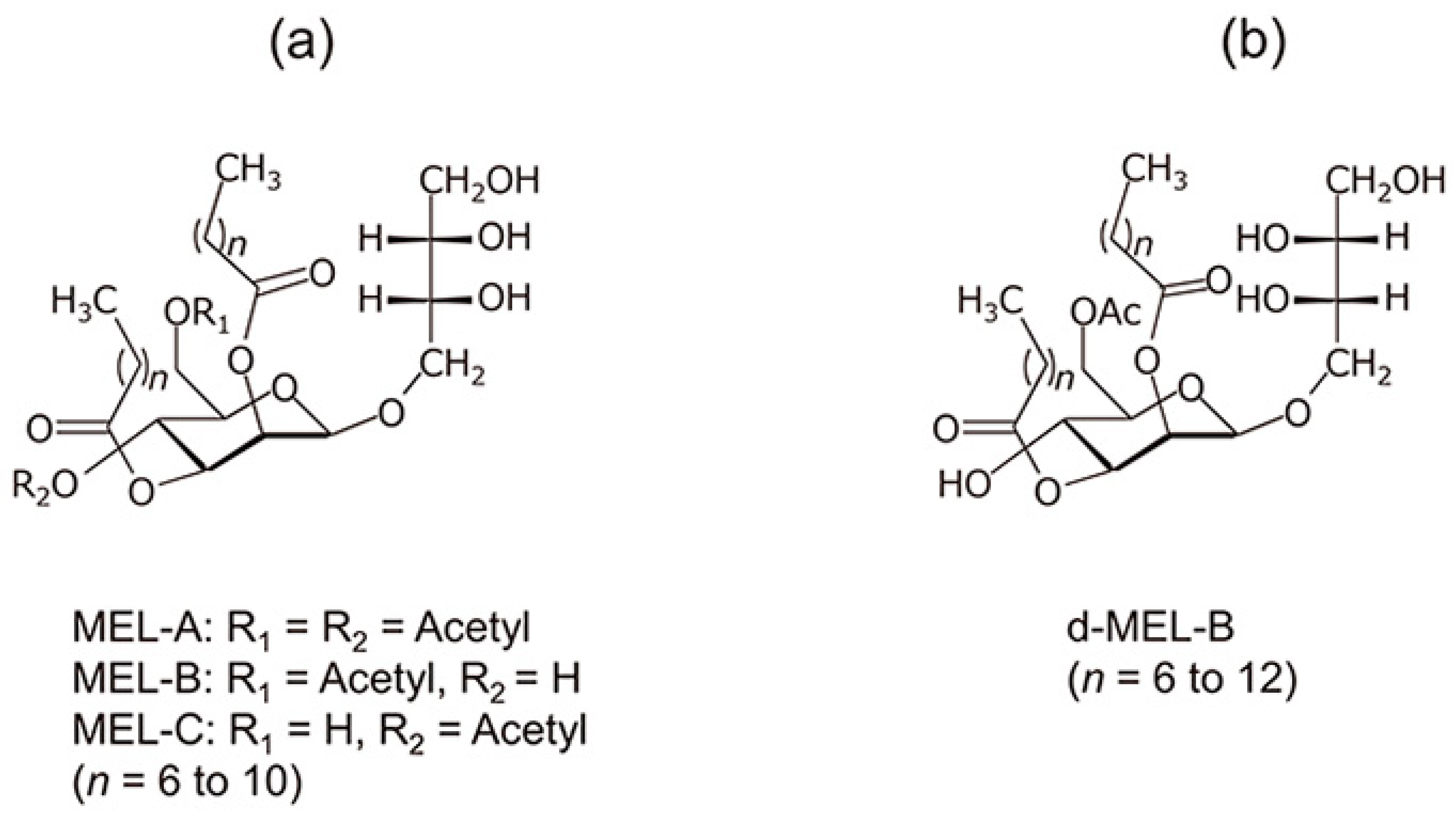 Bio-Based Surfactants and Biosurfactants: An Overview and Main ...