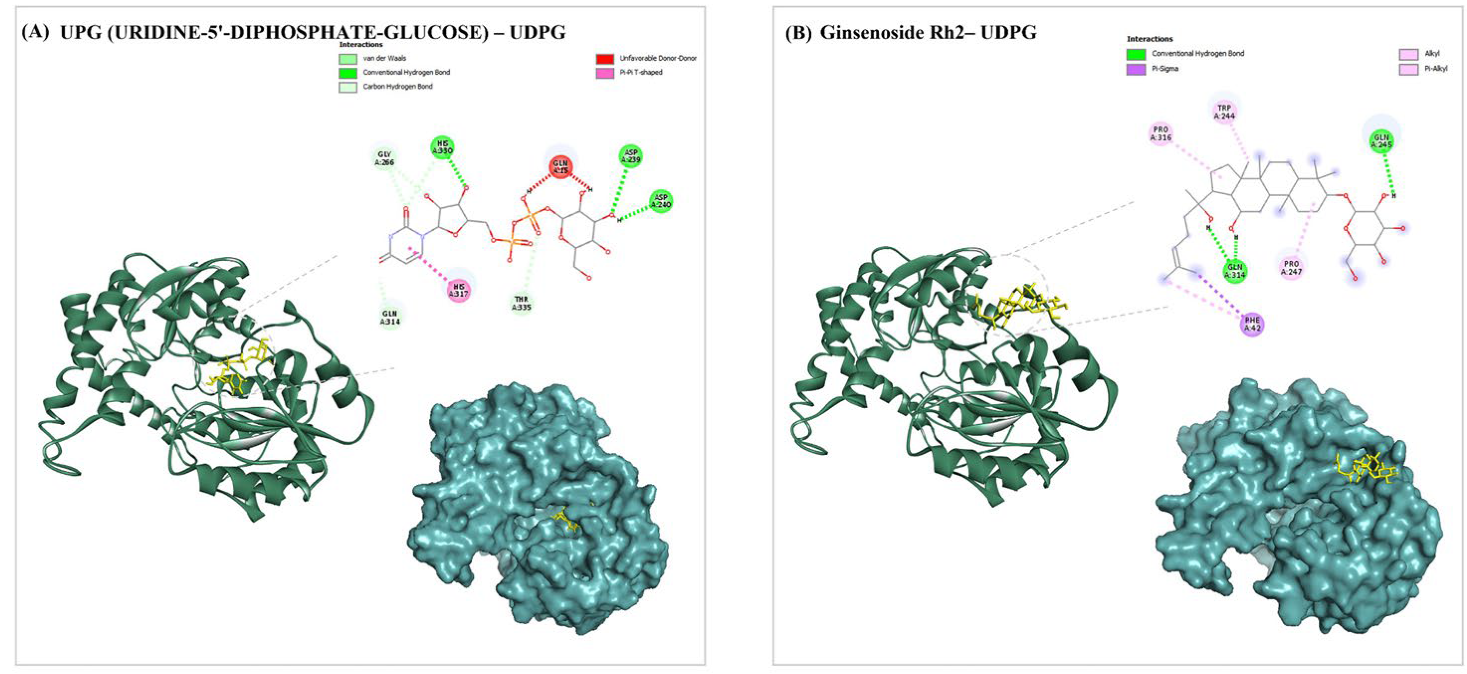 Biosynthesis of a Novel Ginsenoside with High Anticancer Activity by ...