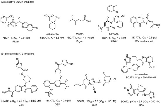Design, Synthesis and Biological Activity Study of γ-Aminobutyric Acid ...