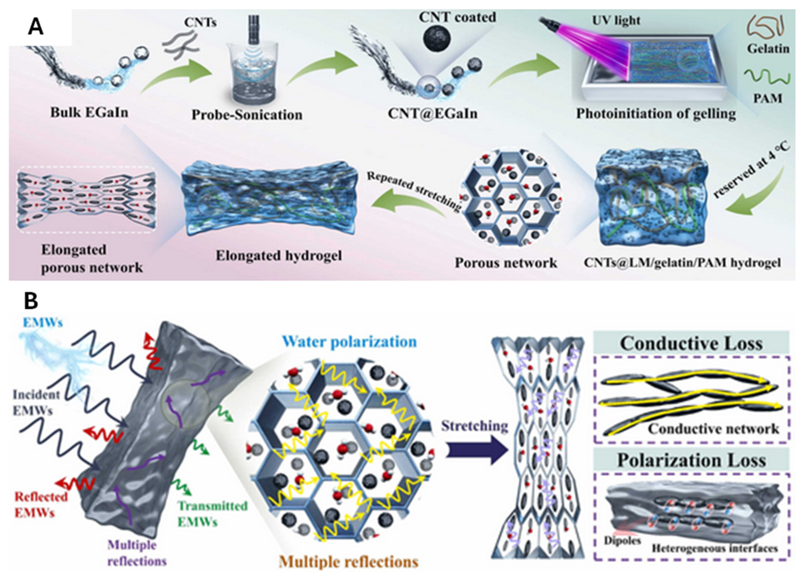 Liquid Metal–Polymer Hydrogel Composites for Sustainable Electronics: A ...